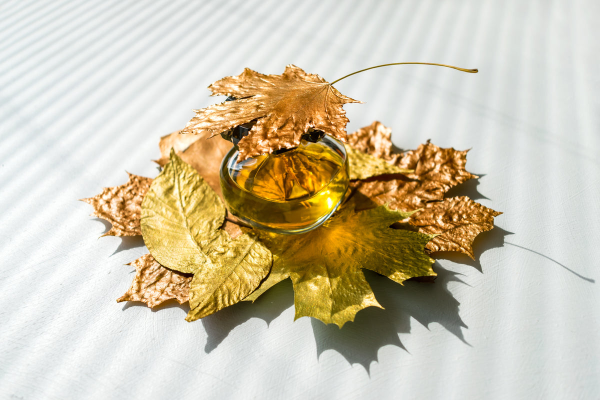 Top 10 Best Fall Scents for Home